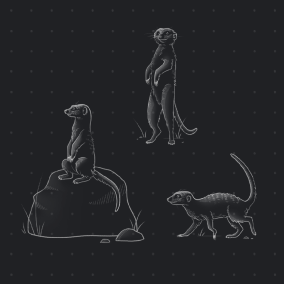 Android Studio Nightly | Android Developers