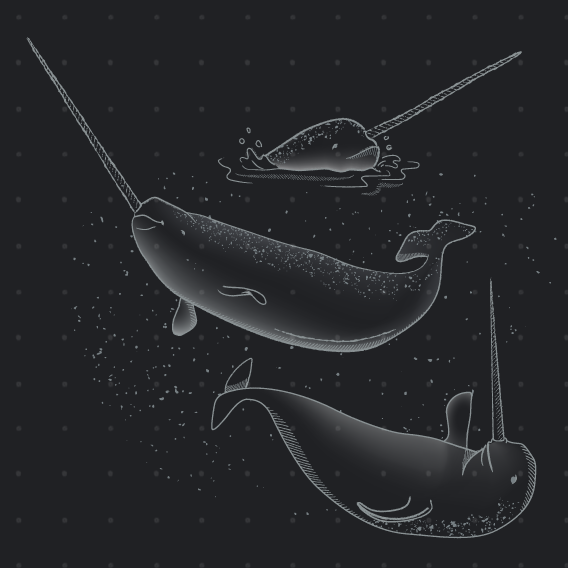 Android Studio Nightly | Android Developers